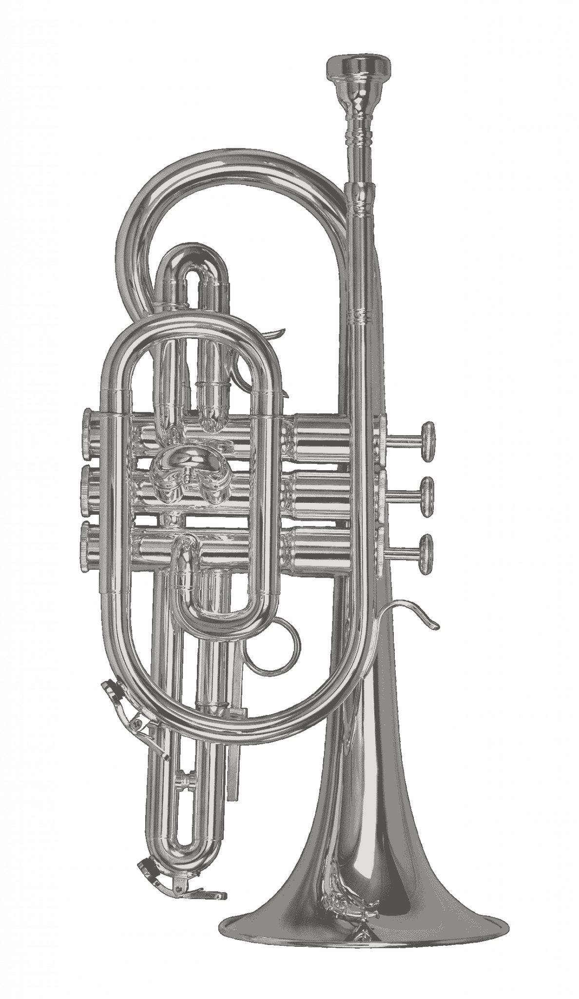 Schagerl Shepherd's Crook Cornet